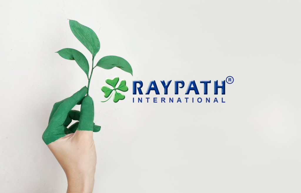 Raypath kaina | AGNI